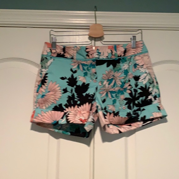 New York & Company | Shorts | 7th Avenue Design Studio New York Company ...